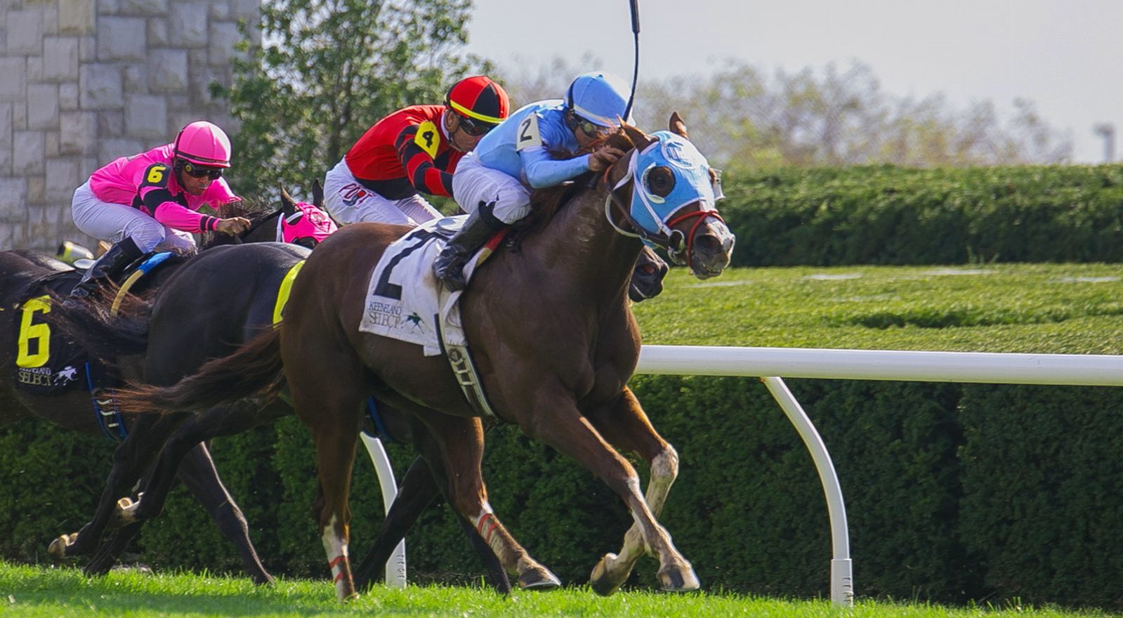 BG-Image-BUSR - WebPartners.co