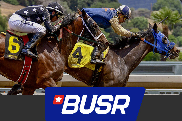 BUSR rebranding - WebPartners.co